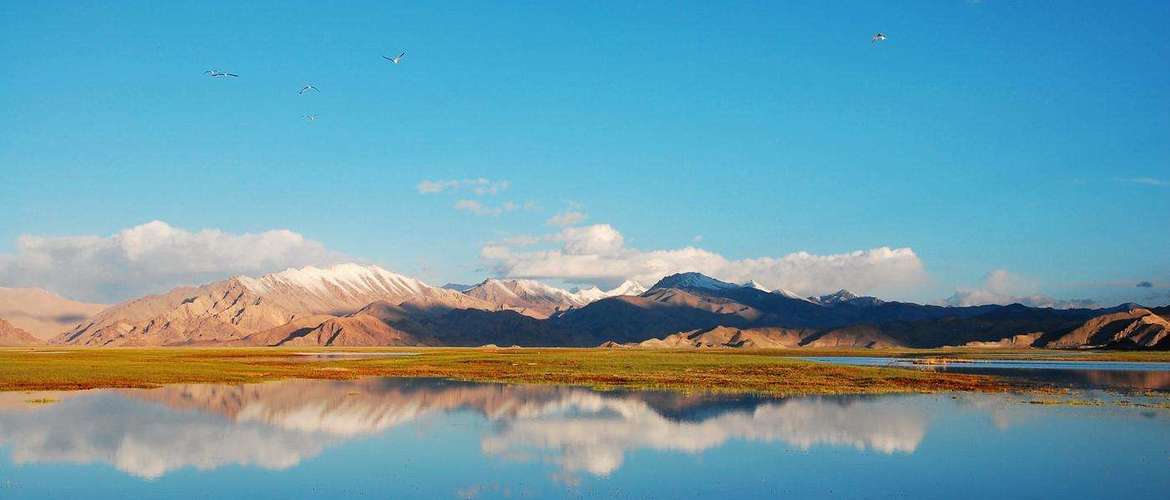 Pangong Lake Travel Guide - How to Get to, Best Time and Tips